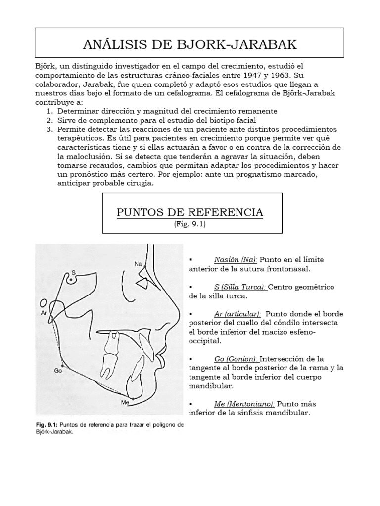 Análisis de Bjork | Descargar gratis PDF | Ángulo