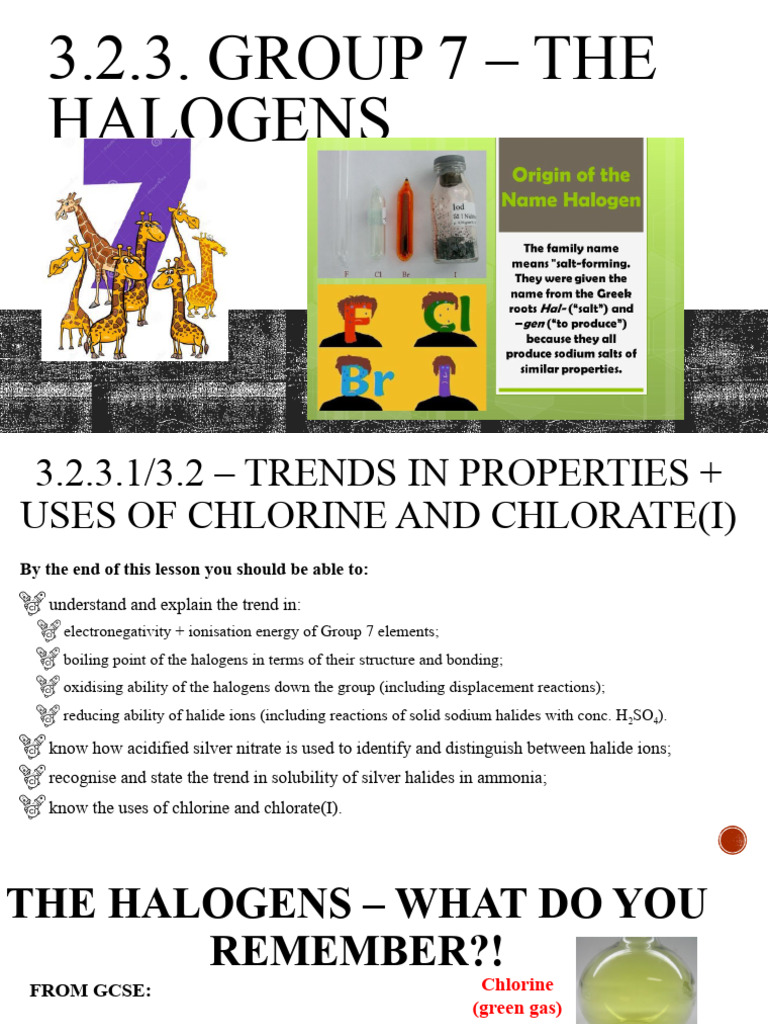 Group 7 - The Halogens | PDF | Chlorine | Iodine