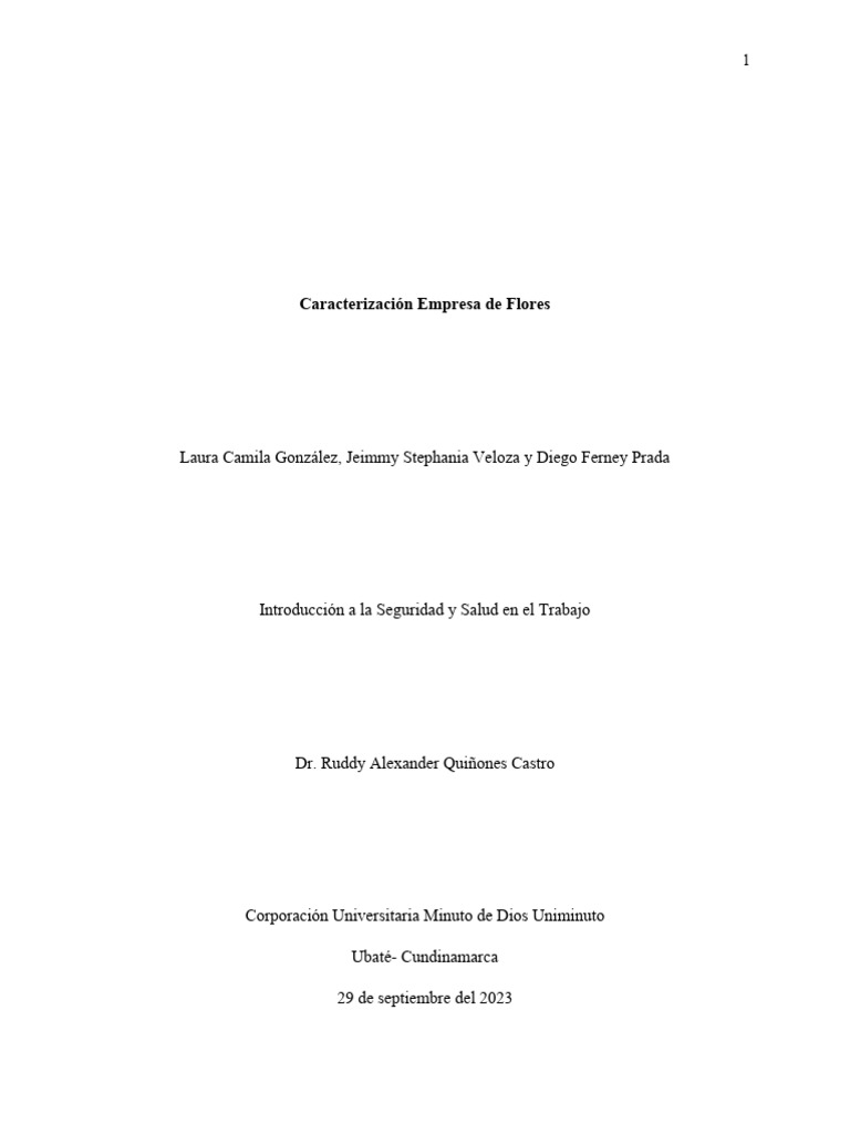 Conceptos Basicos de La SST | PDF