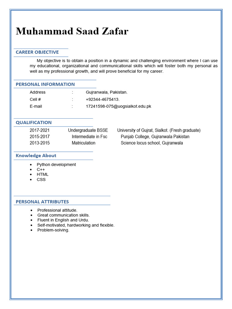 Muhammad Saad Zafar (CV) | PDF | Career & Growth | Business