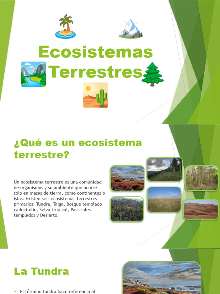 Ecosistemas Terrestres | PDF | Clima templado | Ciencias de la Tierra