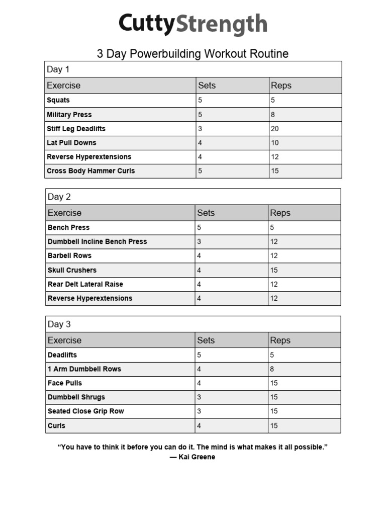 3 Day Powerbuilding Workout Routine PDF | PDF