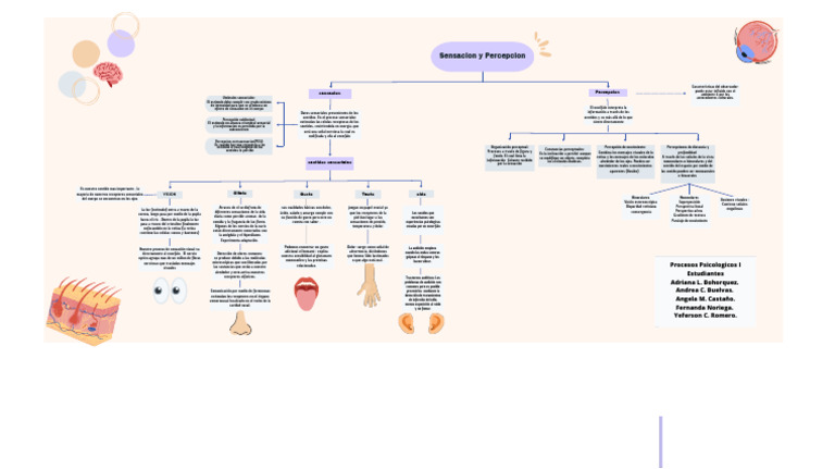 Mapa Conceptual Sensación y Percepción | PDF | Percepción | Sentidos