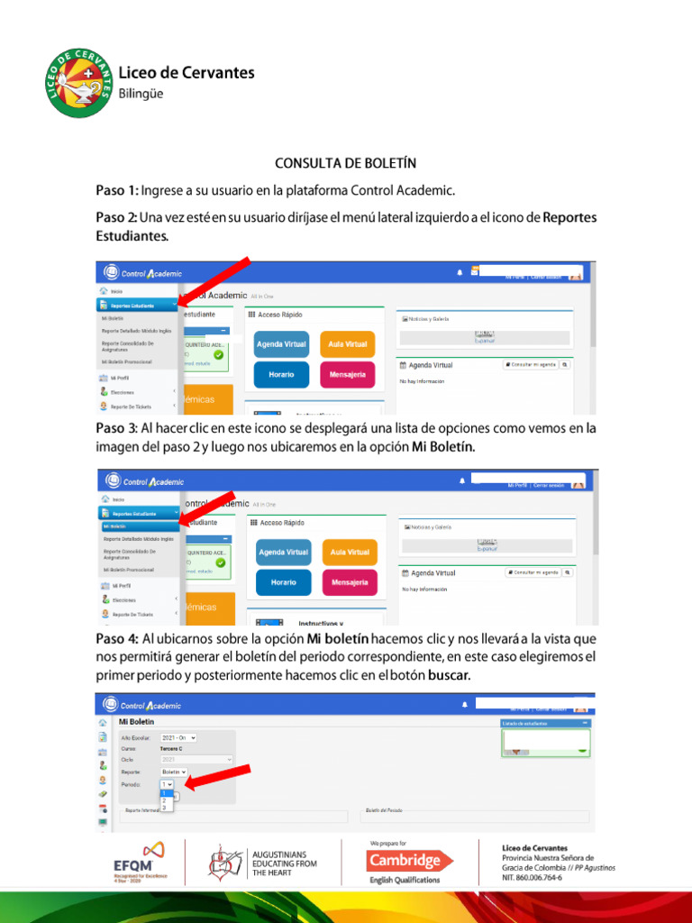 INSTRUCTIVO_BOLETIN | PDF