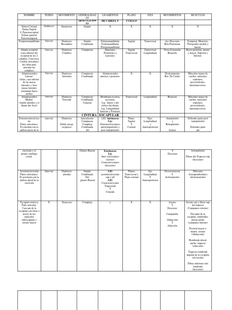 ARTICULACIONES Cuadro | PDF | Articulación | Rodilla