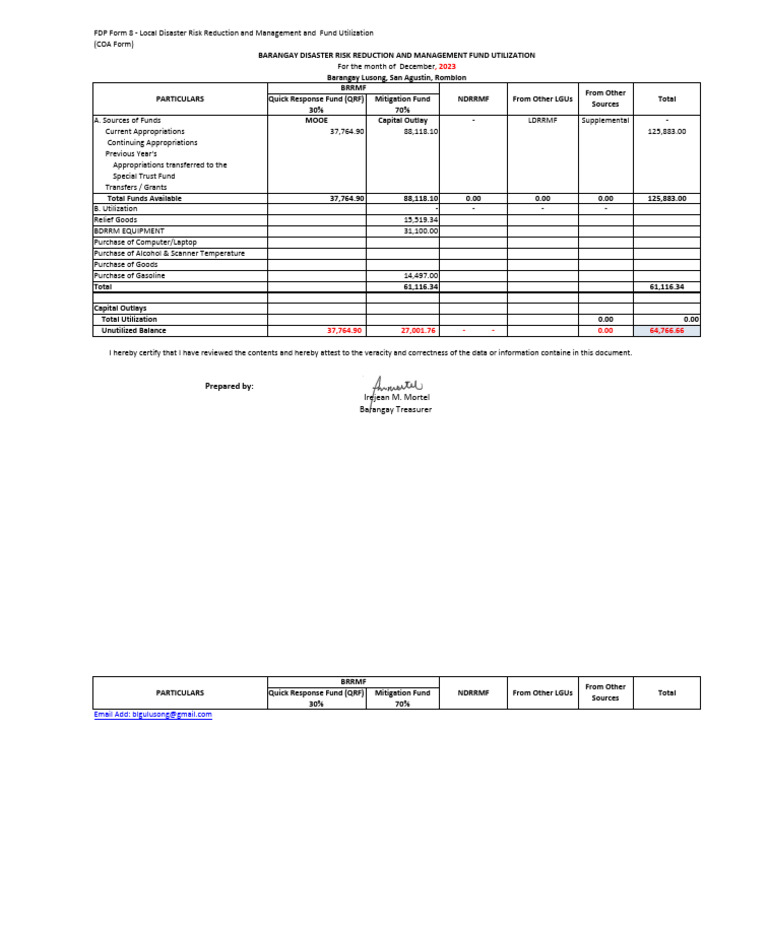 BDRRM Fund Utilization Form | PDF