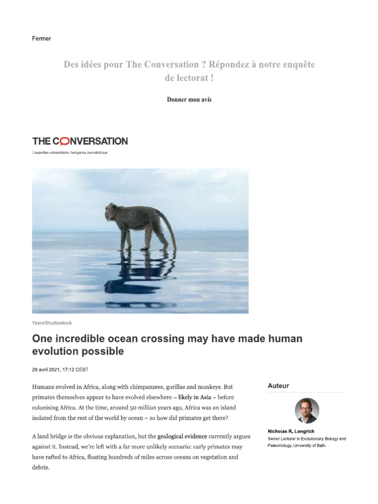 Primates Evolution | PDF