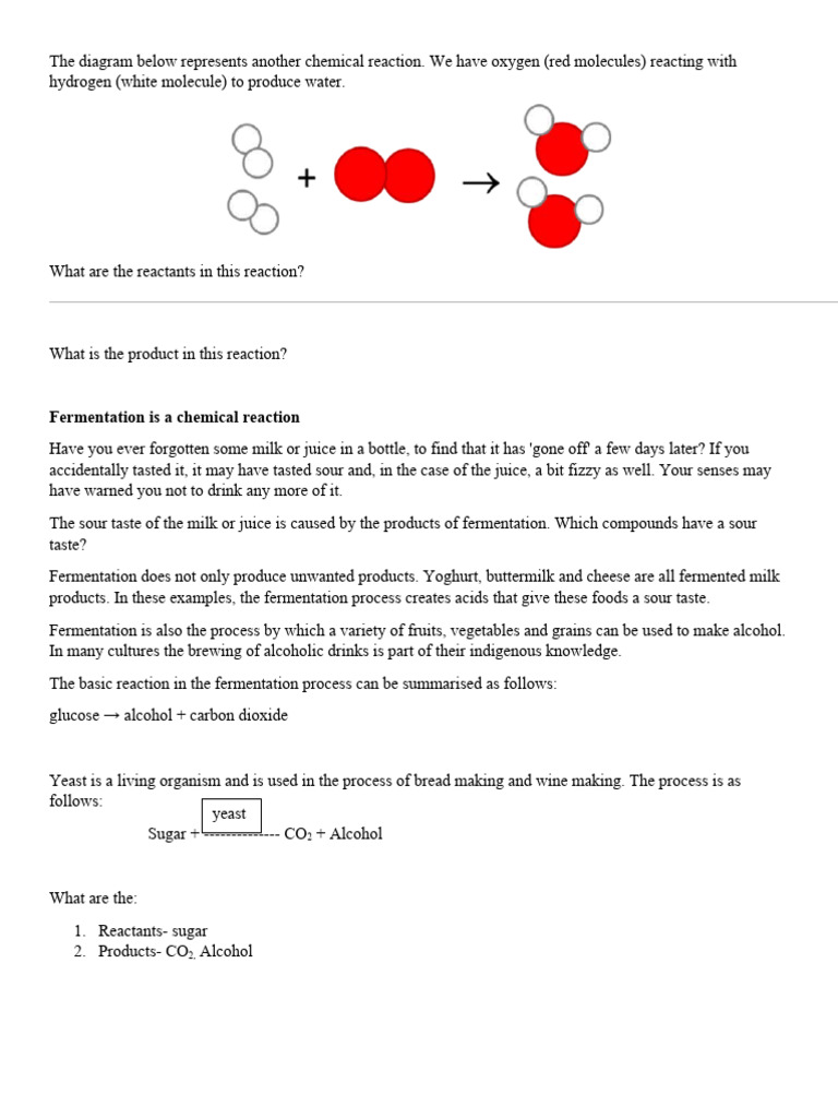 Fermentation and Chemical Reactions | PDF | Fermentation | Chemical ...