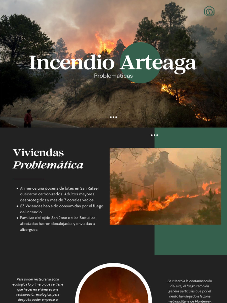 Presentación Problemática | PDF | Incendios | Conservación del medio ambiente