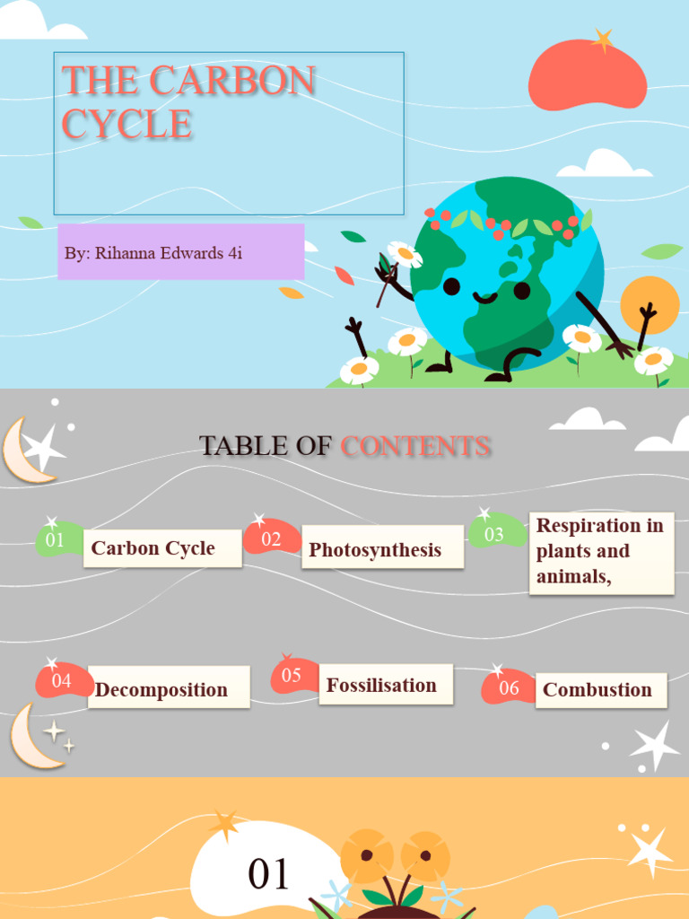 Carbon Cycle | PDF | Photosynthesis | Stoma