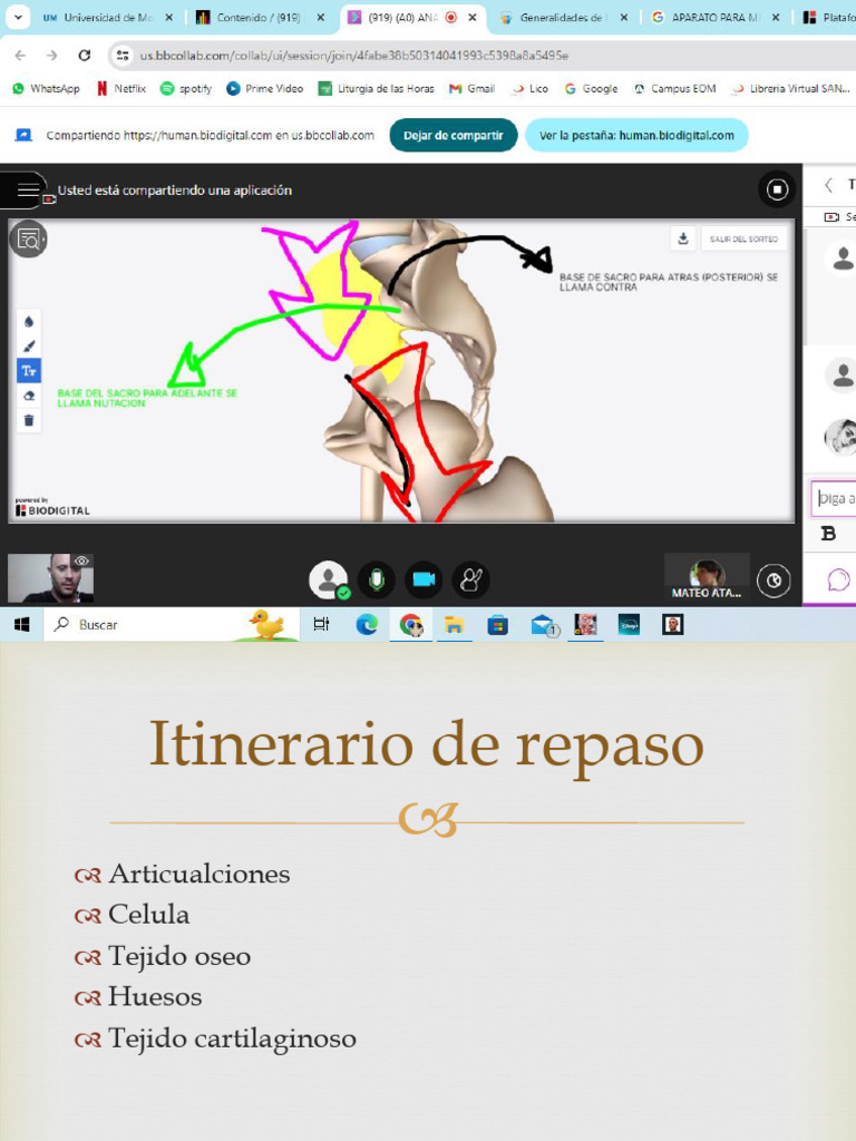 Art Icu Laci Ones | PDF