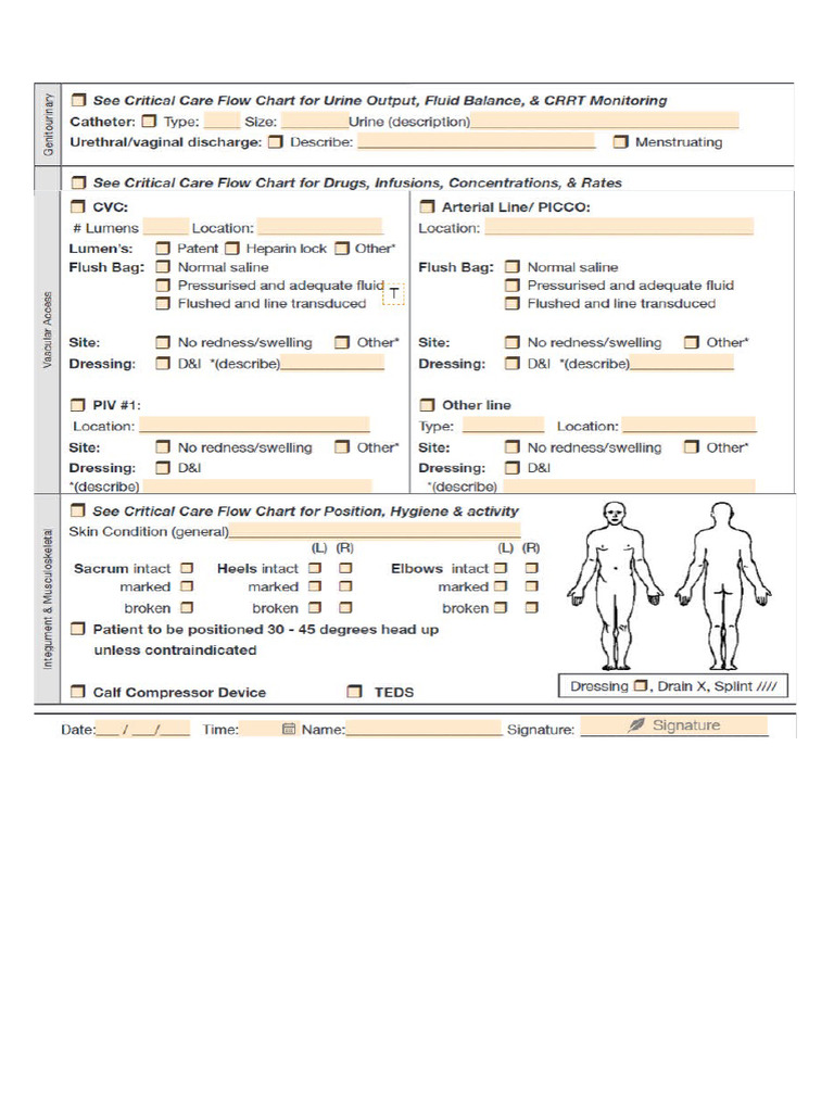 ICU Assessment Forms 1 | PDF