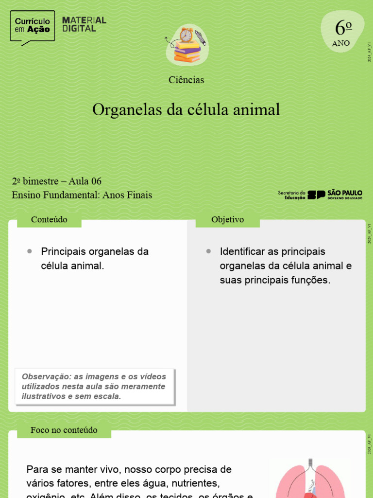 Organelas da Célula Animal e Funções | PDF | Célula (Biologia) | Corpo ...