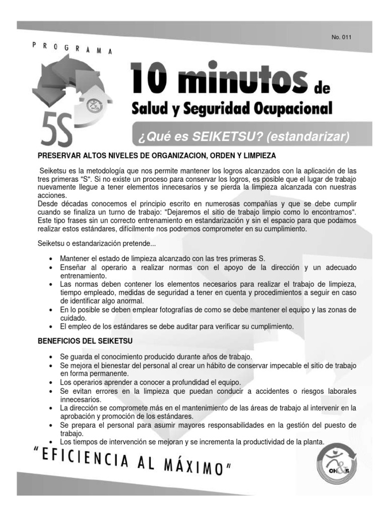 011 Qué Es SEIKETSU | PDF