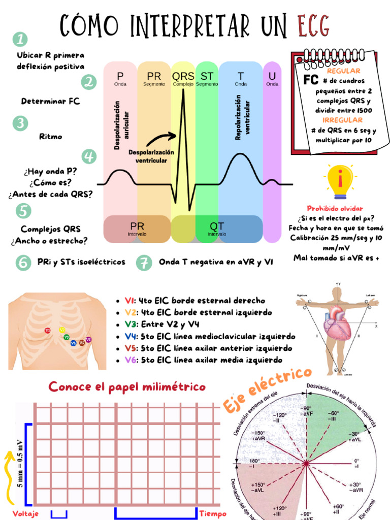 Cómo Interpretar El EKG | Descargar gratis PDF | Electrocardiografia | Sistema cardiovascular