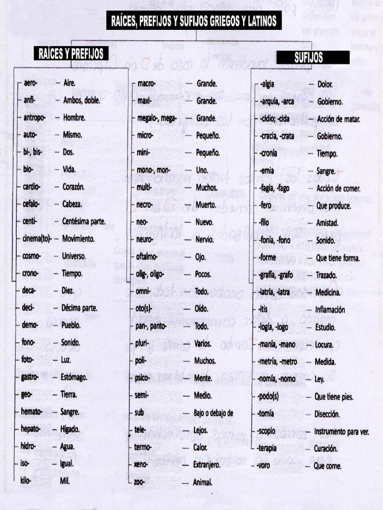 prefijosA 4to año_age_20240331232625 | PDF