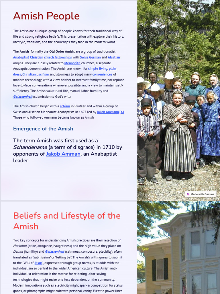 Amish People | PDF | Amish | Anabaptism