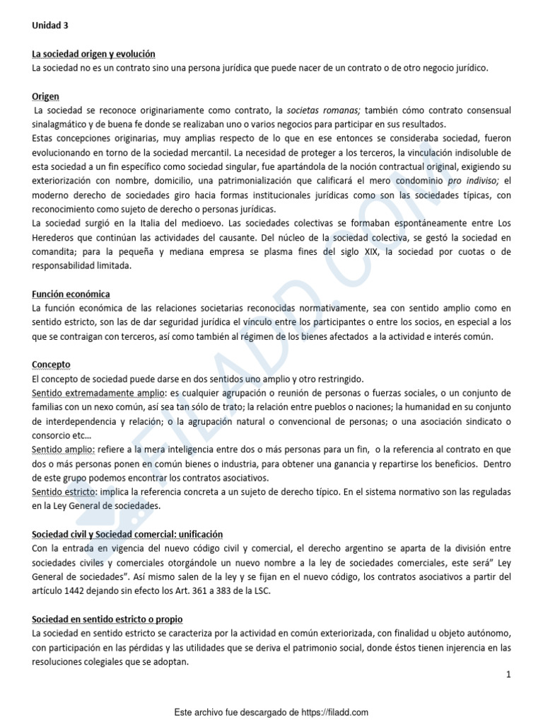 Resumen Sociedades - Unidad 3 | PDF | Bienes (Ley) | Sociedad