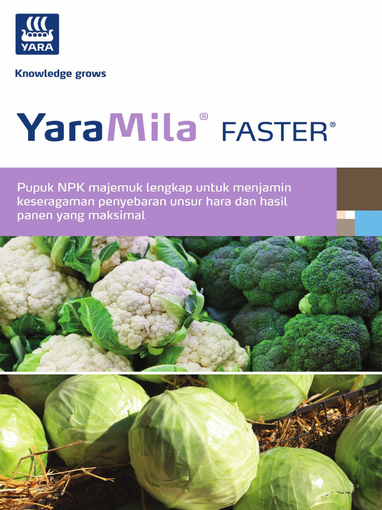 brosur-yaramila-faster-a4_011220_rev_resize | PDF