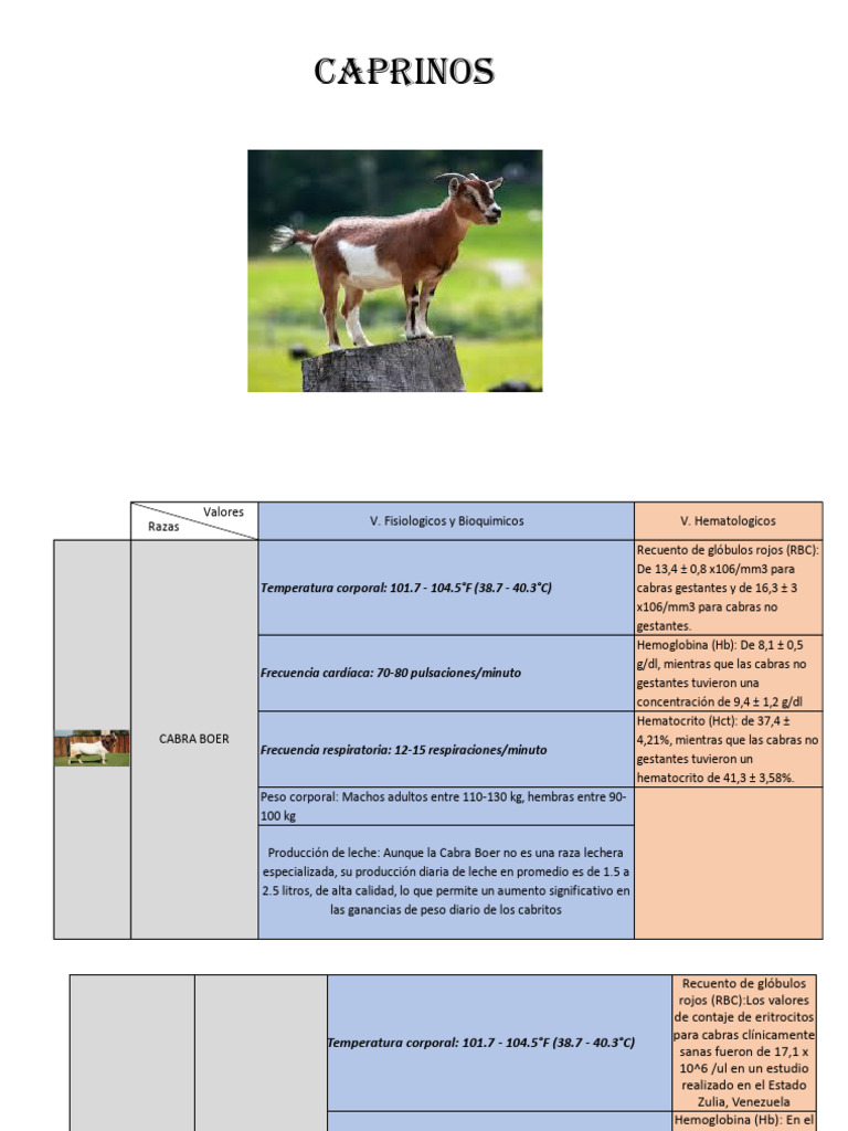 Caprinos | PDF | Vertebrados | Fluidos corporales