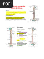 Surco Intertubercular del Húmero | PDF | Articulaciones | Anatomía humana
