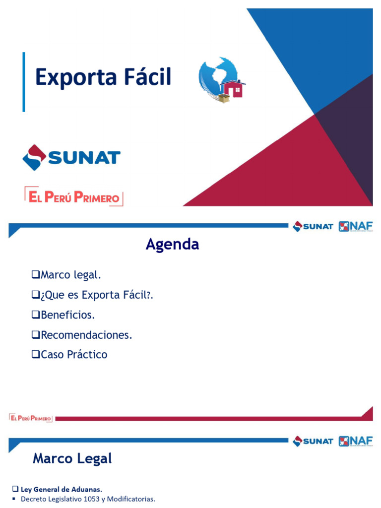 Exporta Facil Final | PDF | aduana | Exportaciones