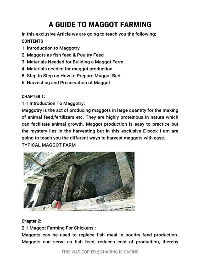 Comprehensive Guide to Maggot Farming | PDF | Insects And Humans