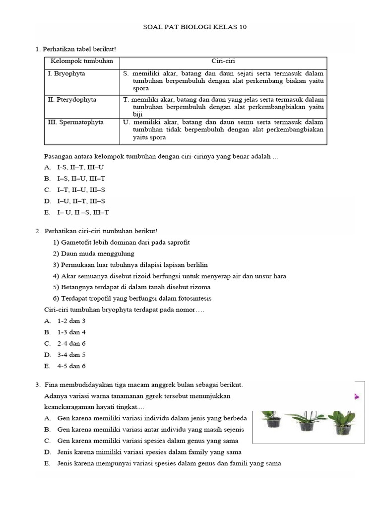 Soal Pat Biologi X Kurmer | PDF