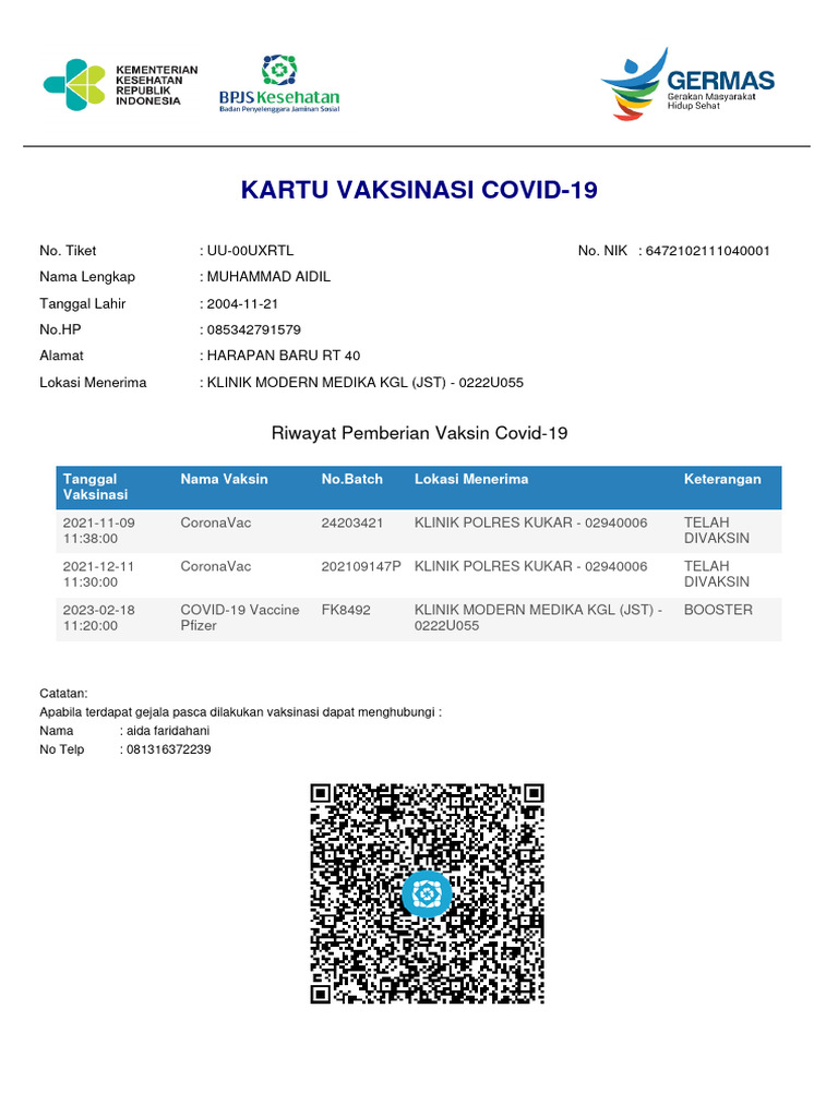 Muhammad Aidil V3 | PDF