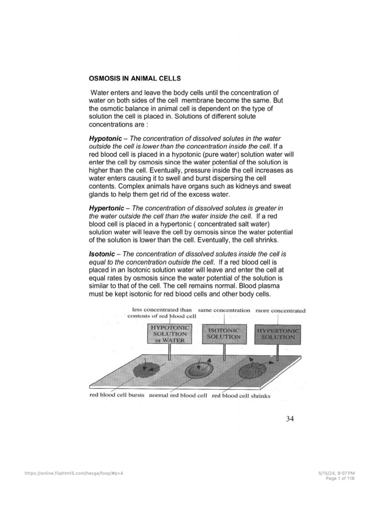 CSEC Biology Study Notes | PDF | Computers