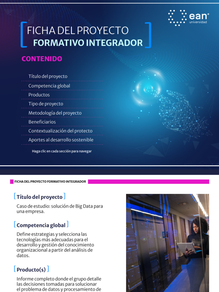Ficha Del Proyecto: Formativo Integrador | PDF | Big Data | Business