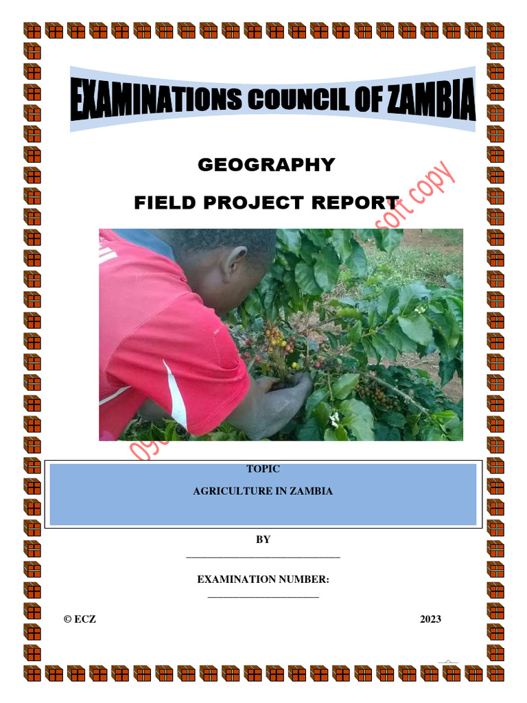 Geo Field Project - Coffee Sample by D Phiri 0963829015 | PDF ...