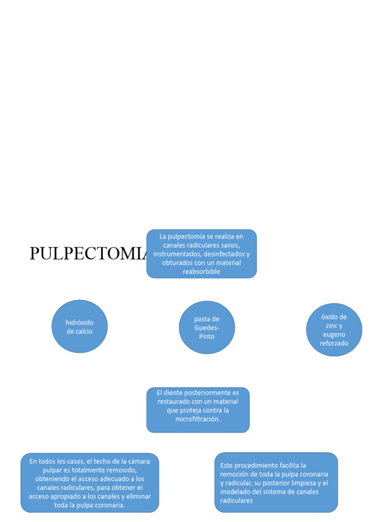 Parte Liliana Pulpec | PDF | Diente | Odontología