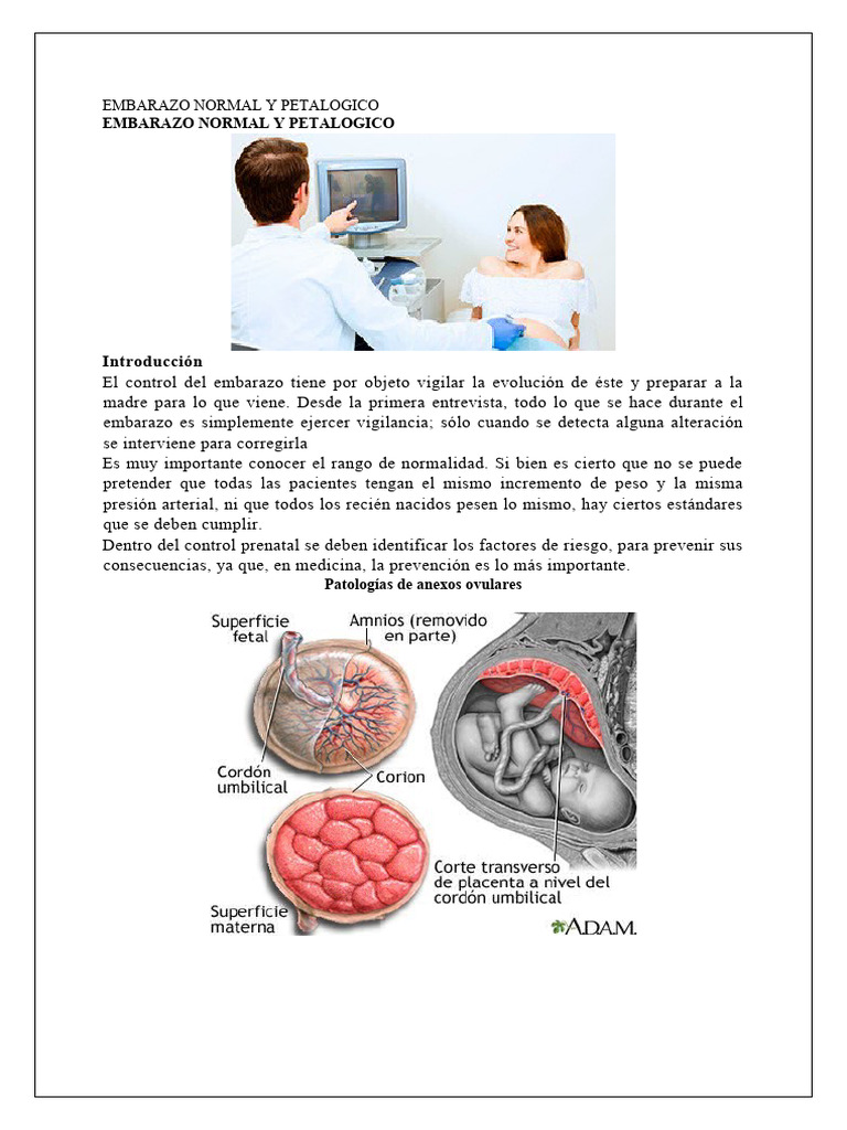 Embarazo Normal y Petalogico | PDF | El embarazo | Amamantamiento