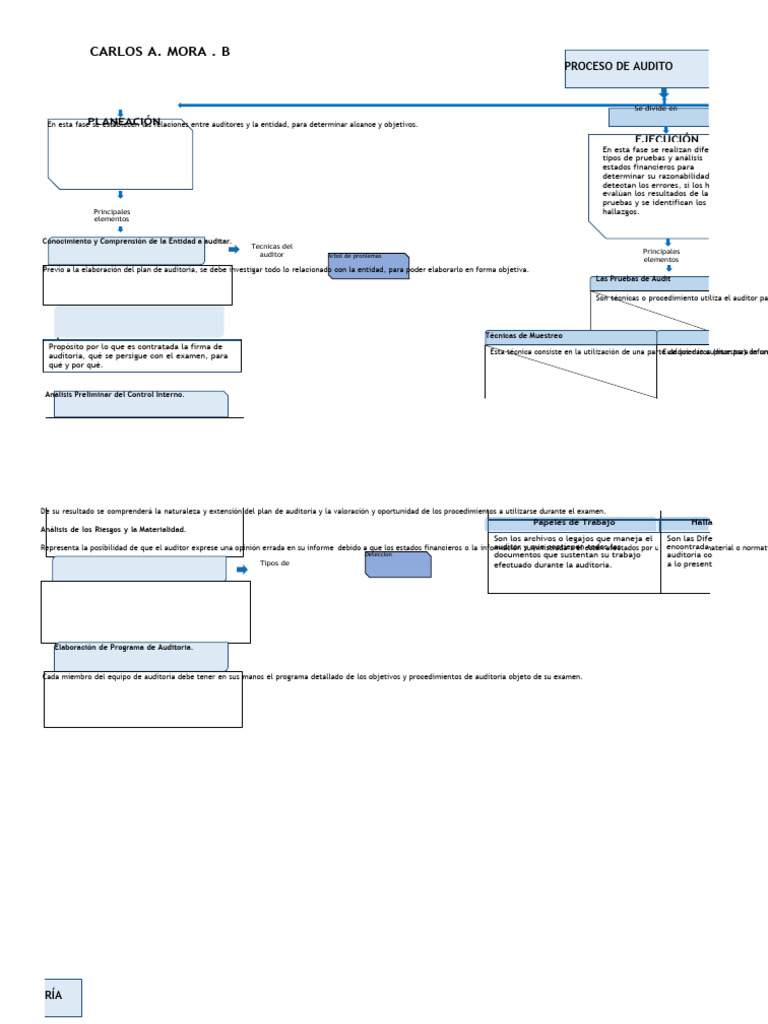 Mapa Conceptual Procesos de Auditoria | PDF | Auditoría
