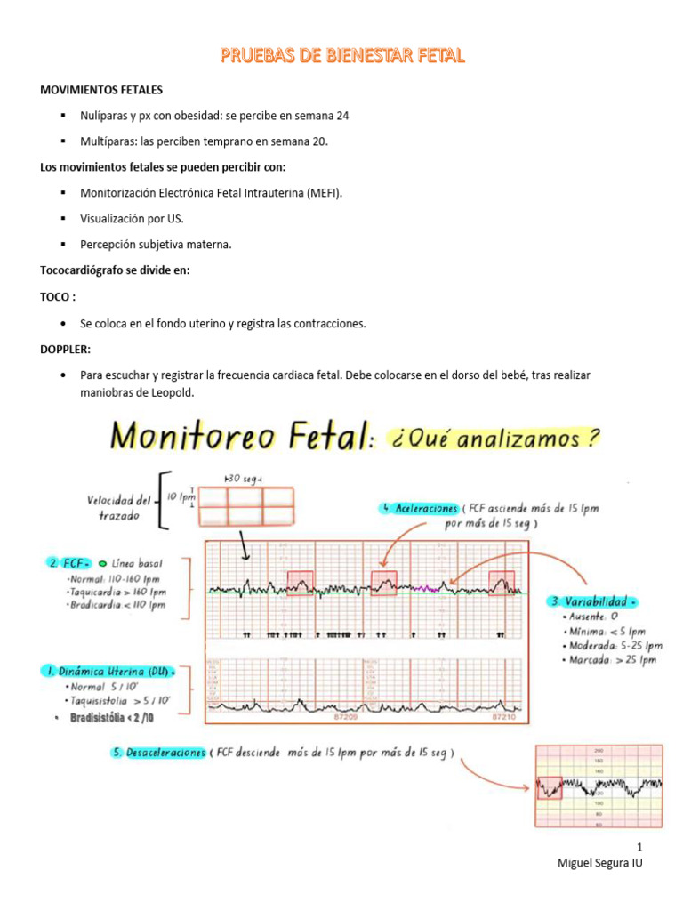 Pruebas de Bienestar Fetal | PDF | Parto | El embarazo