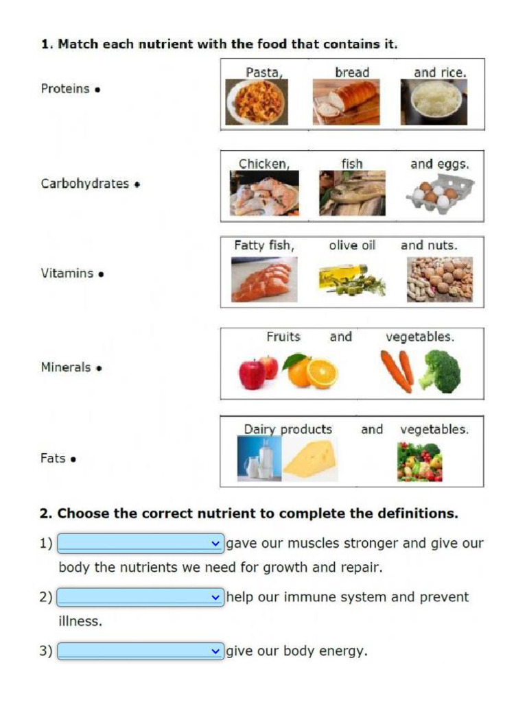 Balanced Diet GR 7 | PDF