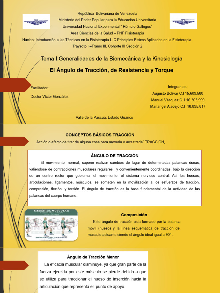 Biomecanica Angulos y Torque | Descargar gratis PDF | Esfuerzo de ...