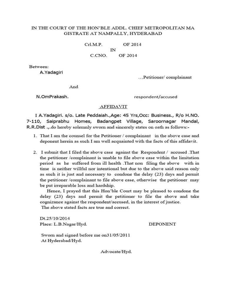 AFFIDAVIT AND DELAY PETITION IN C.C NI - ACT (148 Petition) | Download ...