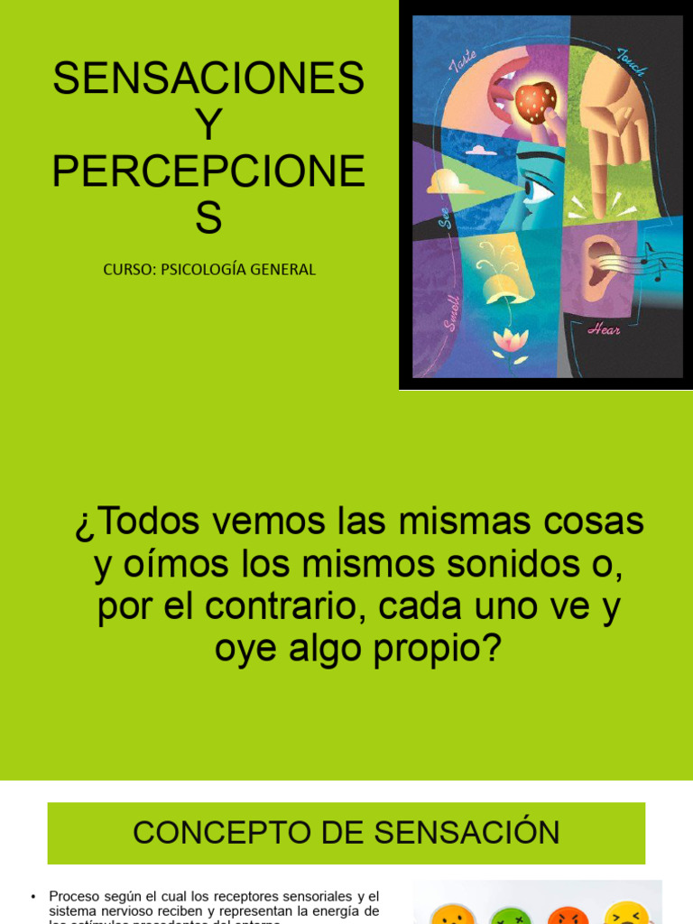 Sensaciones y Percepciones | PDF | Sentidos | Percepción