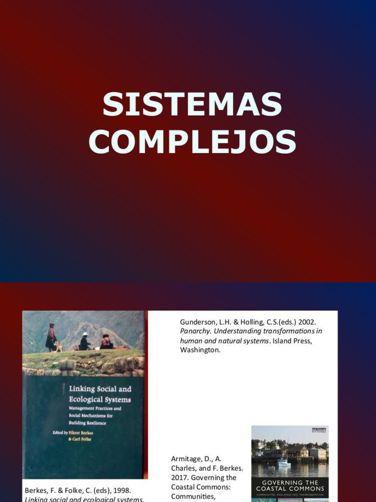 4 - Sistemas Complejos 2024 - I | PDF | Sistema