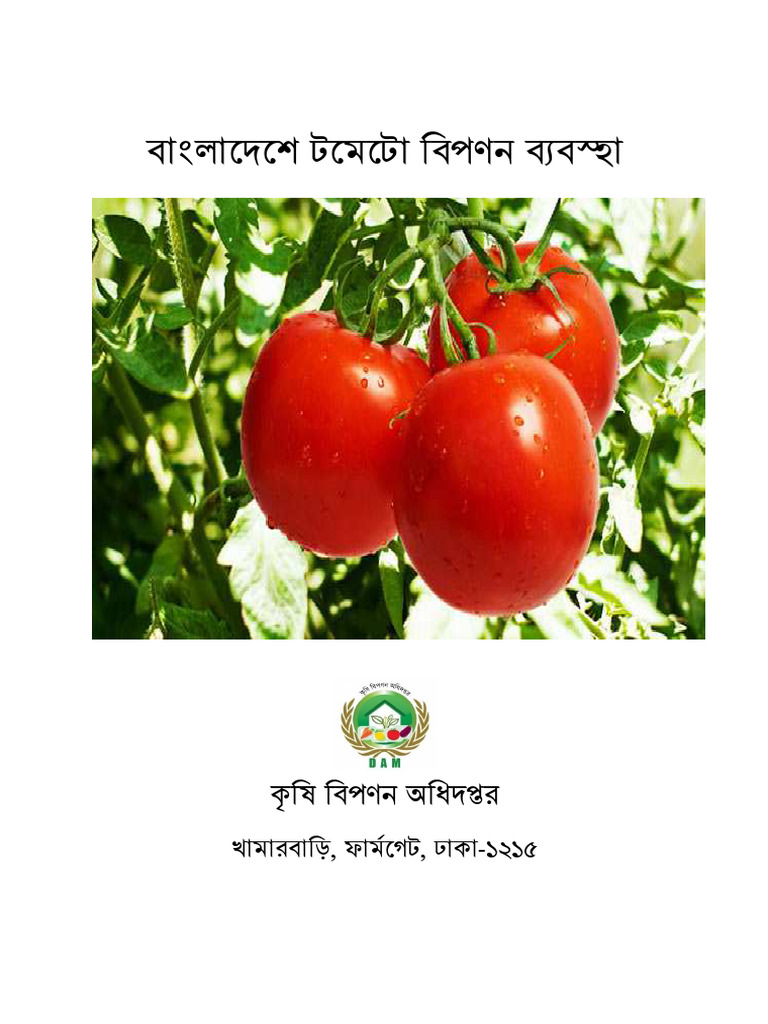 Tomato Distribution System in Bangladesh | PDF