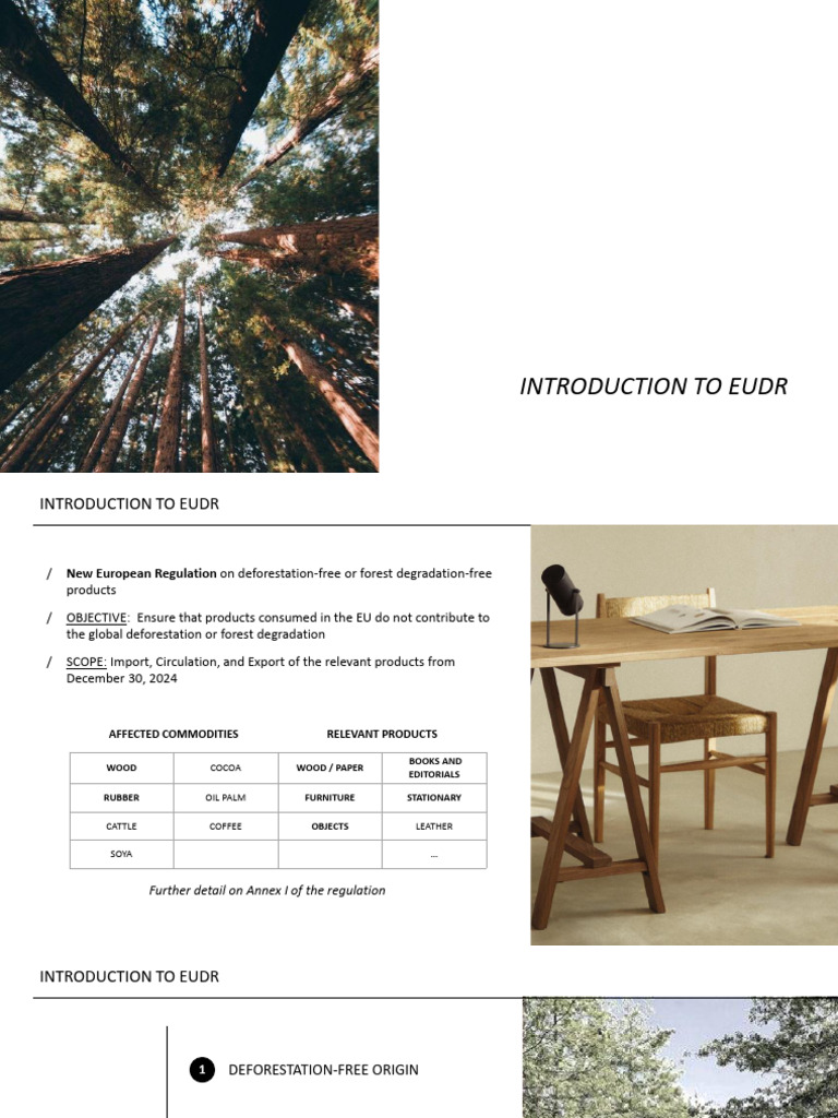 Eudr Communication En Pdf Deforestation Supply Chain