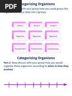 Classification Mnemonics for Taxonomy | PDF