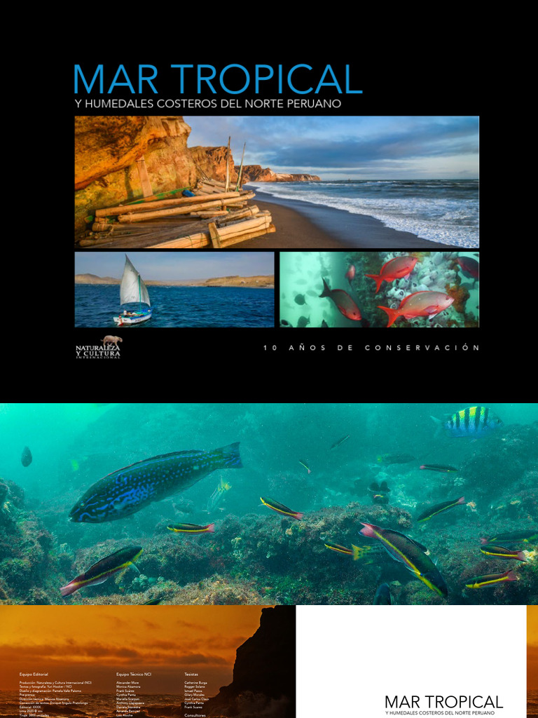 Libro Final | PDF | Mar | Perú