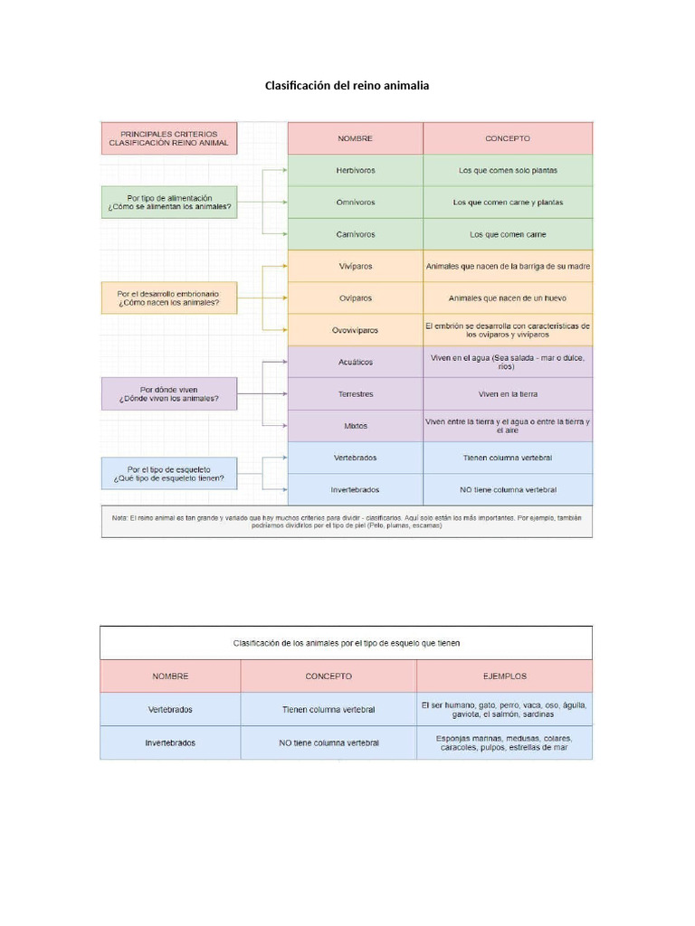 Clasificación Del Reino Animalia | PDF