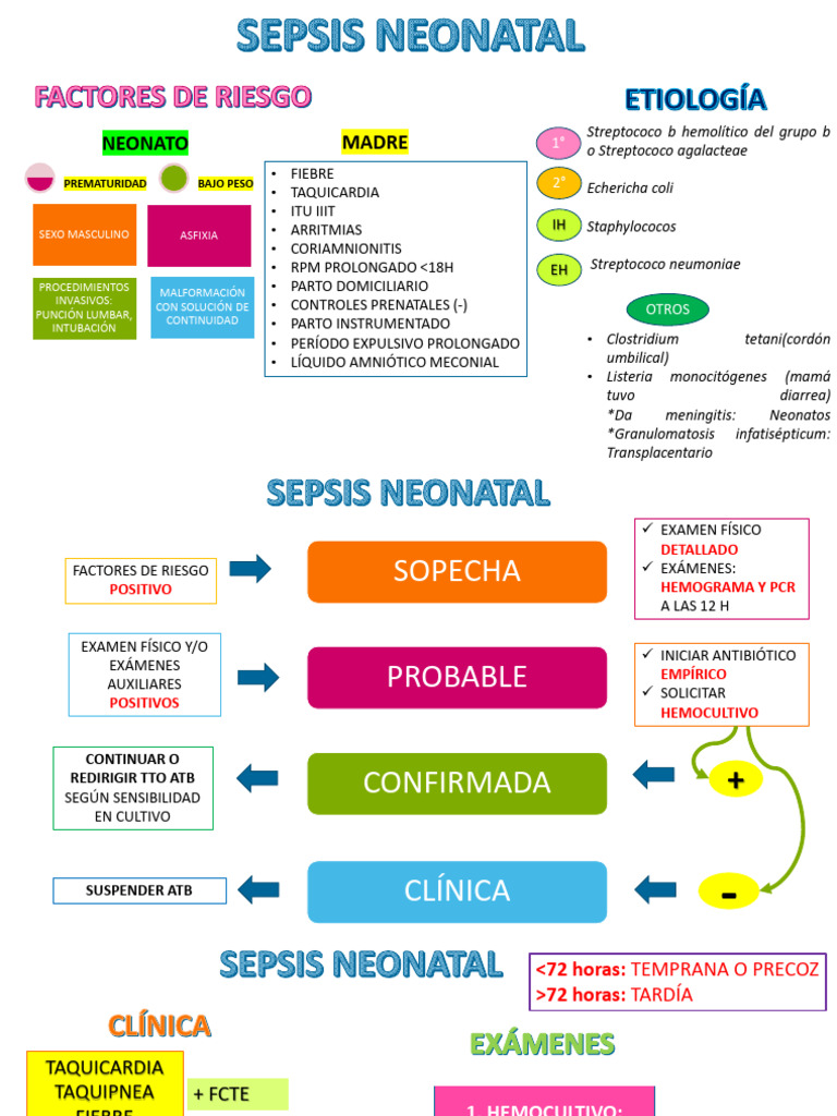 Sepsis Neonatal | PDF | Medicina CLINICA | Especialidades Medicas