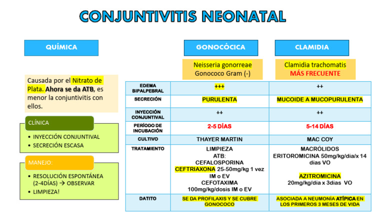 Conjuntivitis Neonatal: Causas y Tratamiento | PDF