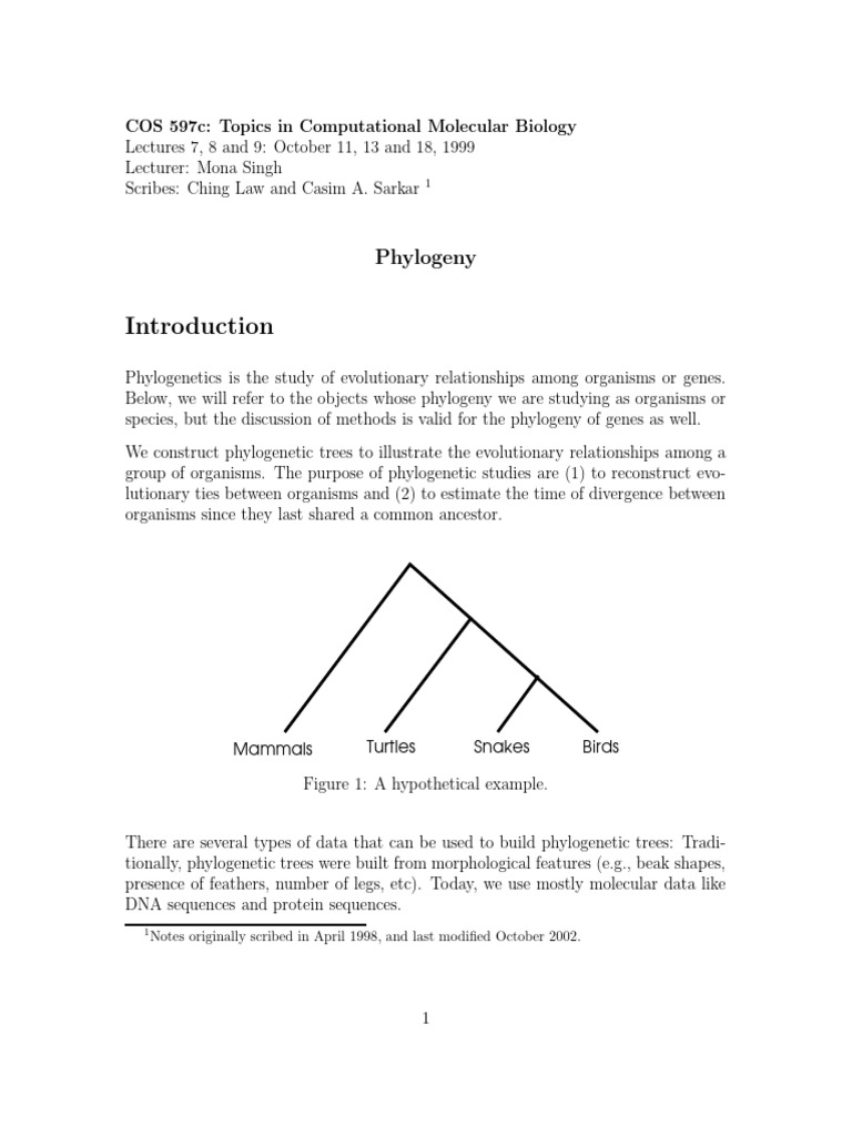 Phylogeny | PDF | Phylogenetic Tree | Phylogenetics