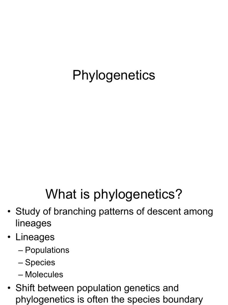 Phyl o Genetics | PDF | Phylogenetic Tree | Molecular Phylogenetics